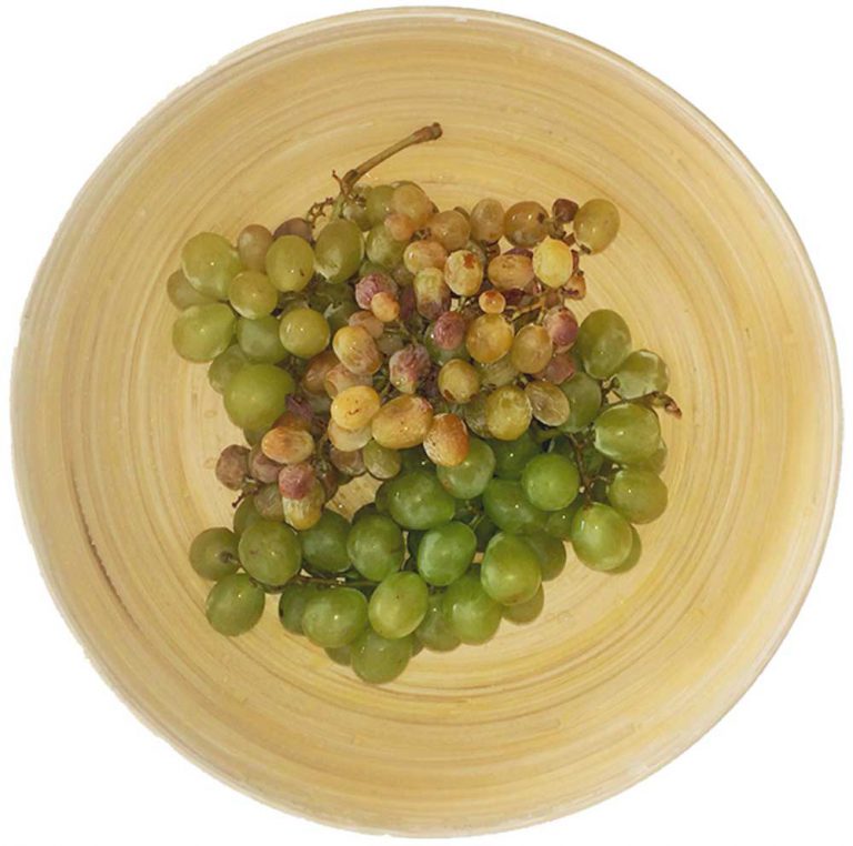 Muskatellertraube: Uva Moscatel, Muskatellertrauben gibt es nur im August